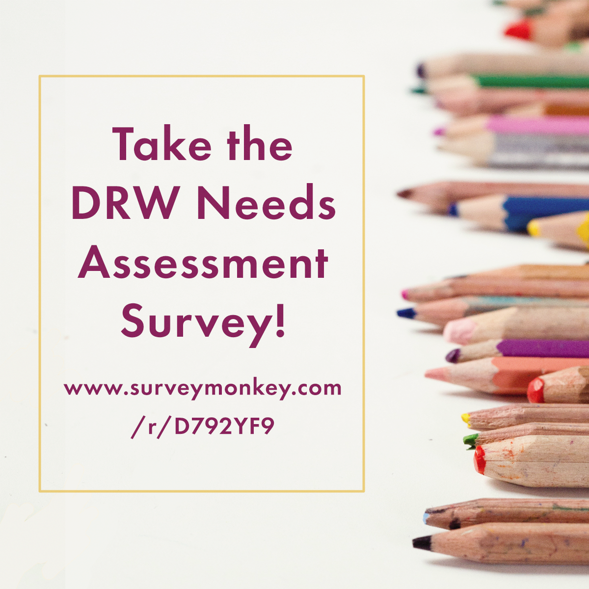 DRW is Strategic Planning – We Need Your Input! - Disability Rights ...