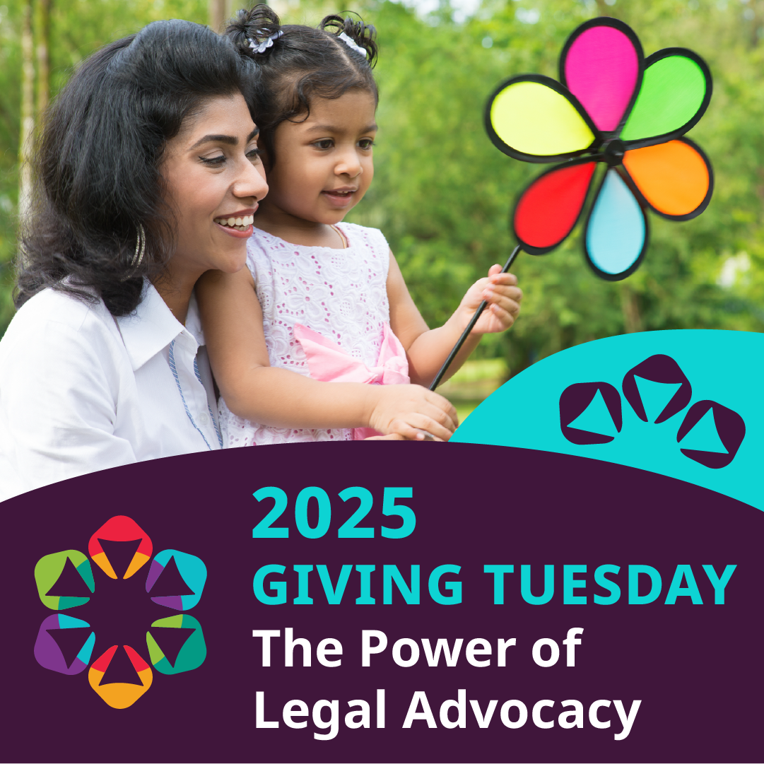 Giving Tuesday 2025: The Power of Legal Advocacy - Disability Rights ...